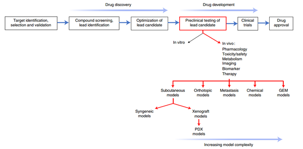 《Nature Protocols》精读：CDX模型在临床前癌症研究中的应用 - 知乎