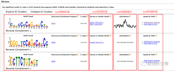 表观组学中的motif分析到底在研究什么？ - 知乎