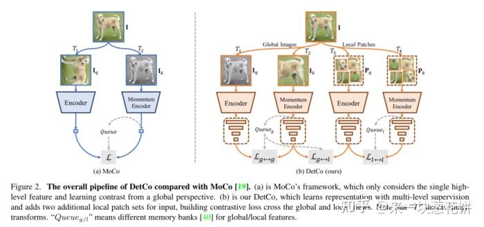 DetCo--论文解析: Unsupervised Contrastive Learning for Object Detection - 知乎