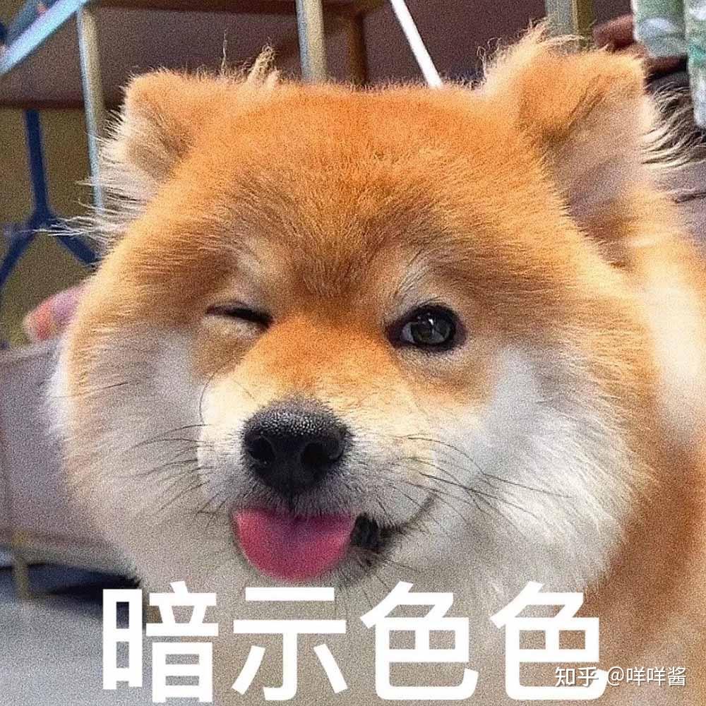 涩涩表情包｜情侣：发给男朋友/女朋友的涩涩表情包 - 知乎