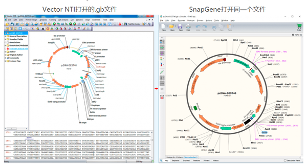 SnapGene完美替代Vector NTI，如何用SnapGene打开Vector NTI文件呢？ - 知乎