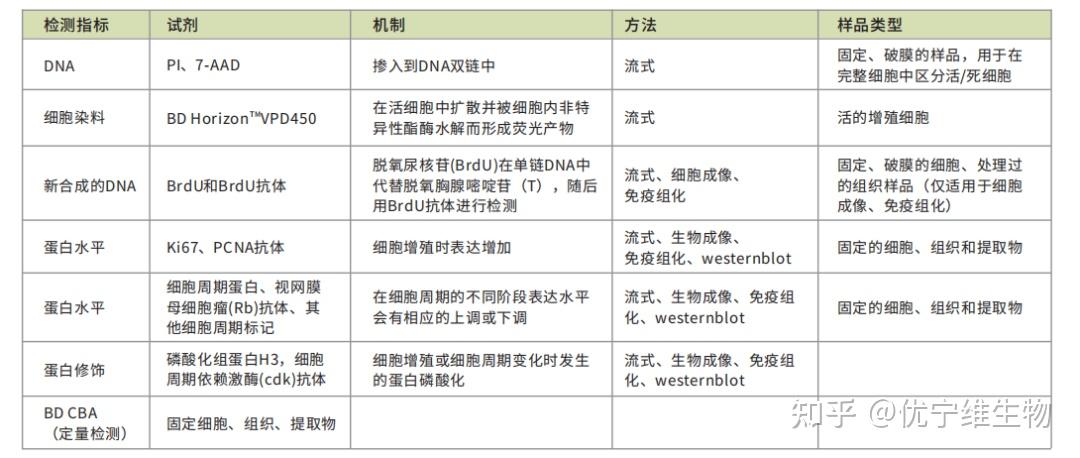 【罗工宝典第18式】BrdU的检测攻略 - 知乎