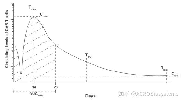 抗FMC63抗体—赋能CD19 CAR细胞药物PK研究 - 知乎