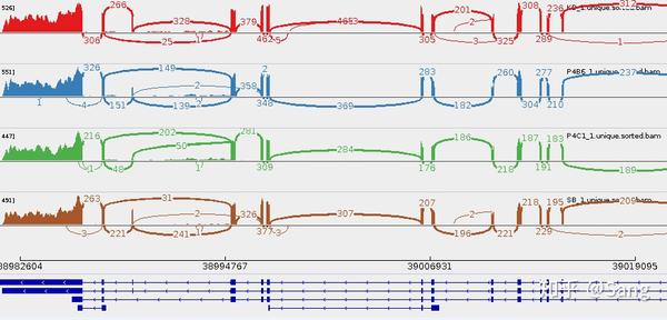 测序分析之DEG分析方法 - 知乎