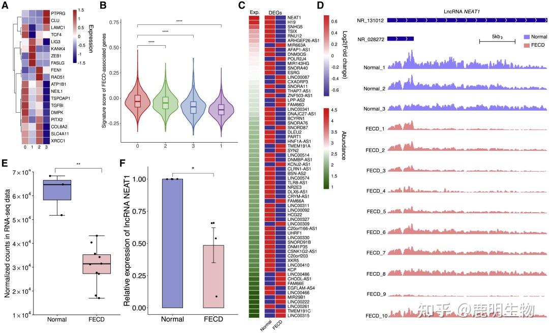 单细胞转录组测序教你如何挖掘lncRNA数据！ - 知乎