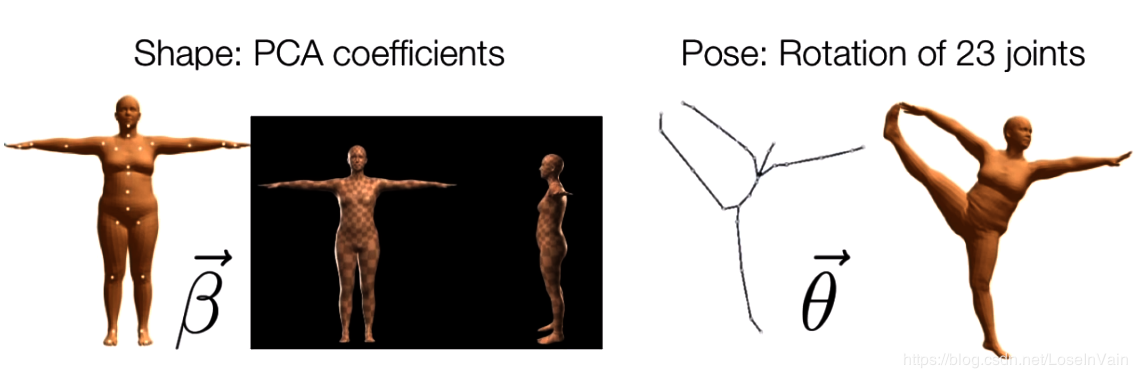 人体动作捕捉与SMPL模型 (mocap and SMPL model) - 知乎