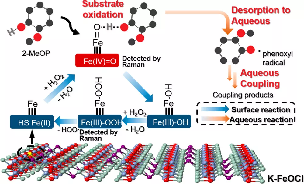 华东理工杨雪晶今日JACS：K阳离子插层FeOCl，调控H2O2活化路径 - 知乎