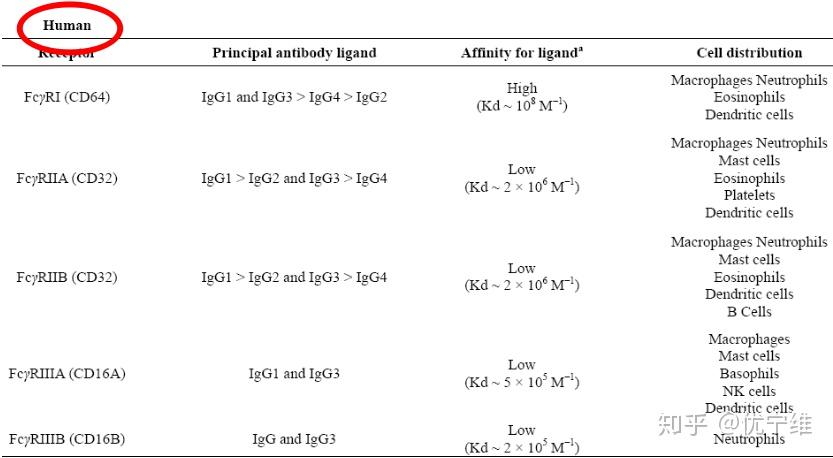 哪些细胞需要进行Fc受体阻断？ - 知乎