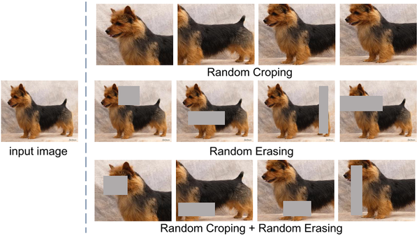 Random Erasing Data Augmentation - 知乎