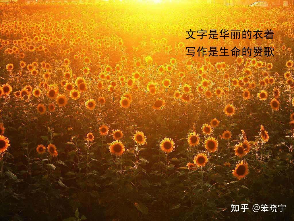 提高你的自愈能力 - 知乎