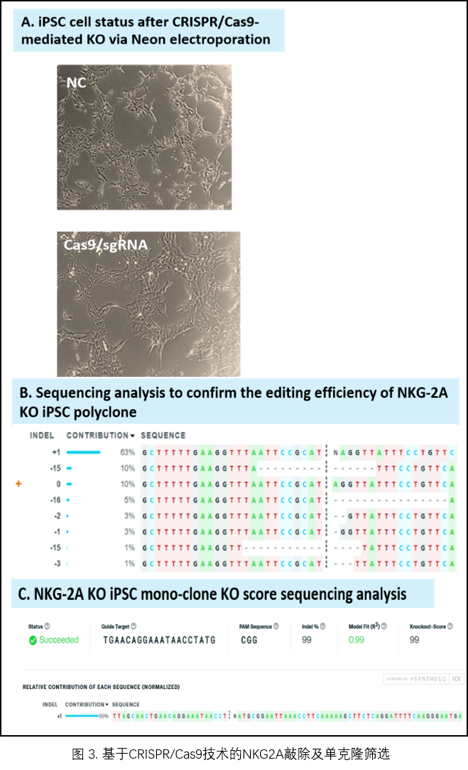 iPSC基因编辑与细胞类型分化服务平台 - 知乎