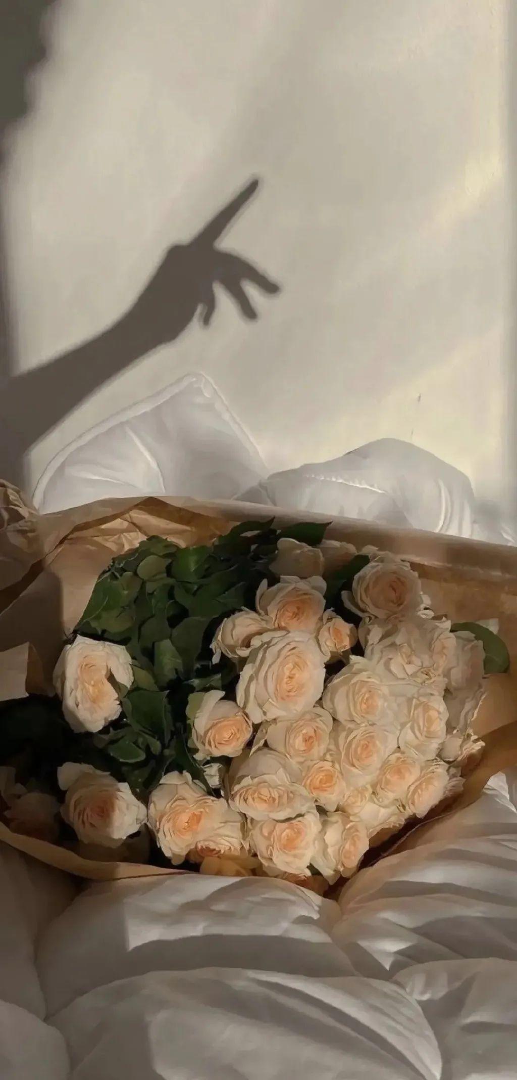 105张特别的手机壁纸 - 知乎