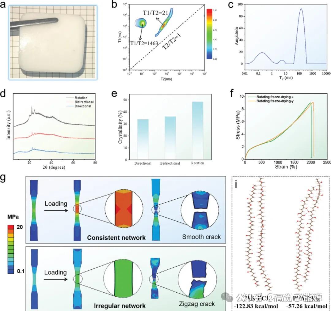 深圳大学田雷AFM: 通过大分子链网络均匀化构建超强韧水凝胶 - 知乎