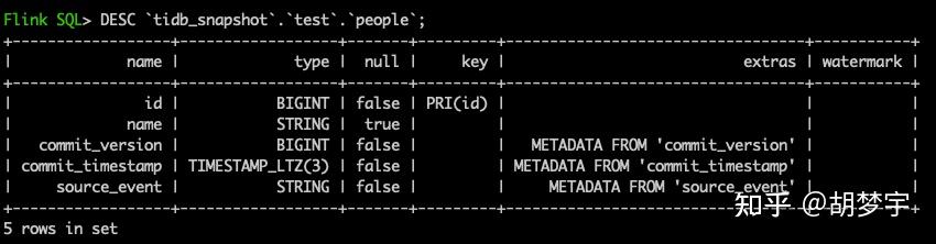 TiDB x Flink x Iceberg 实时 ODS 实践 - 知乎