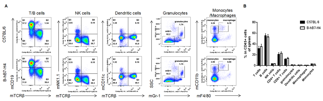 B7-H4 | B7家族又一肿瘤治疗潜力靶点 - 知乎