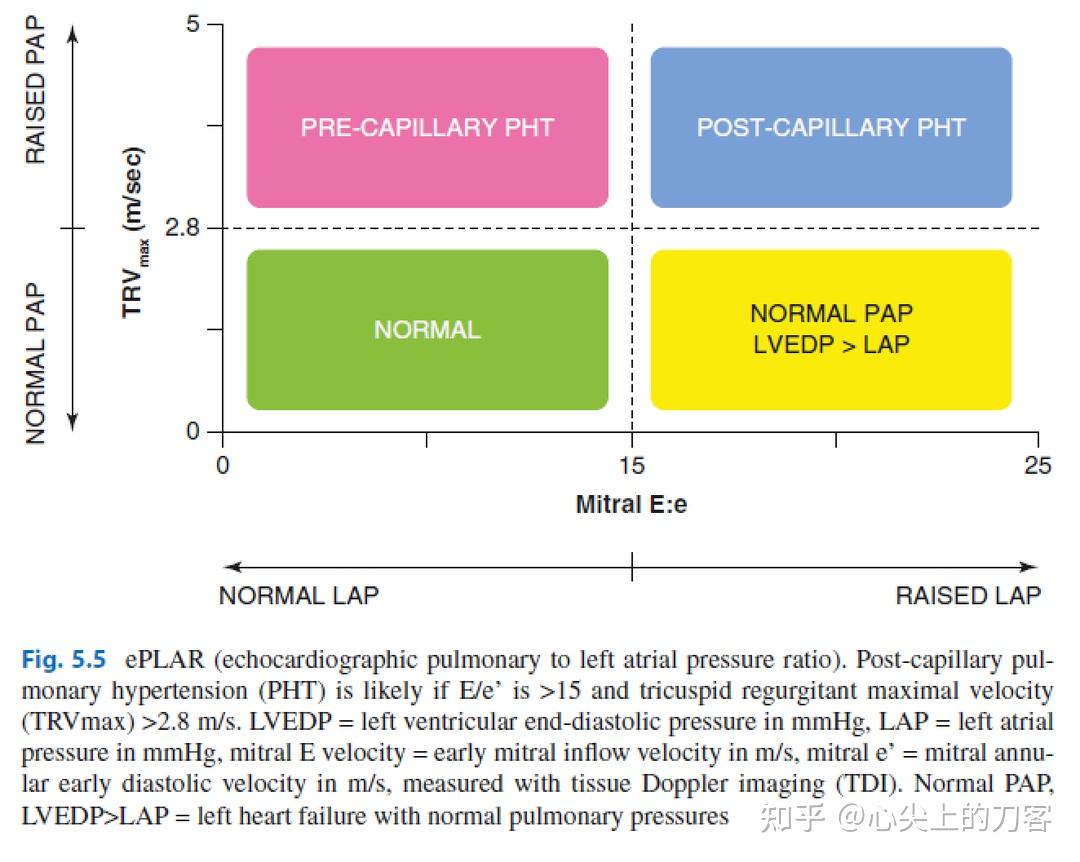 被遗忘的肺循环和跨肺压梯度 - 知乎