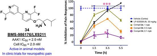 AAK1小分子抑制剂BMS-986176的发现 - 知乎
