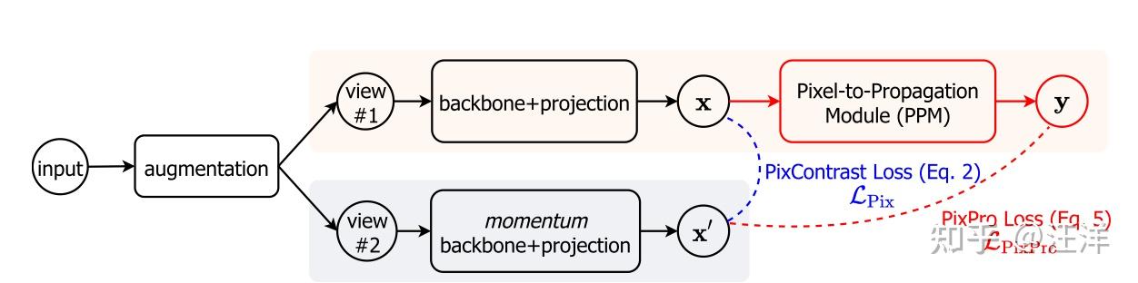 论文笔记： Pixel-Level Contrastive learning - 知乎