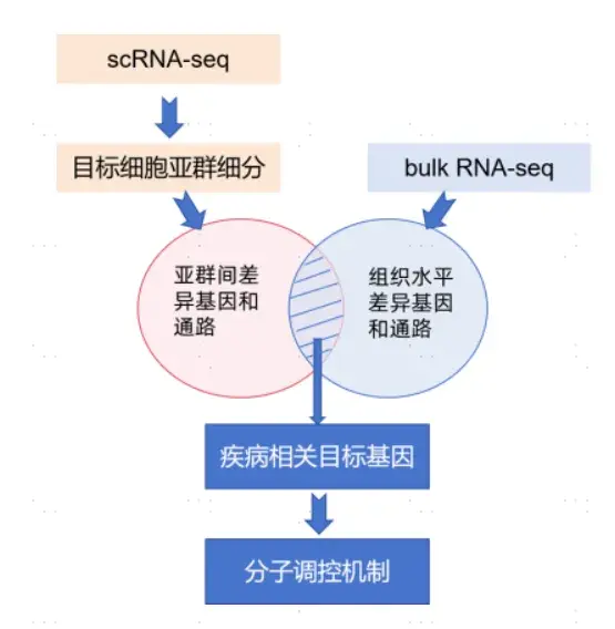 scRNA-seq携手bulk RNA-seq：性价比与科研价值的双重保障 - 知乎