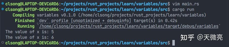 跟着《Rust语言圣经》去学习（3）——Rust基础入门 - 知乎