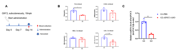 APOC3，降脂治疗领域的新兴靶点 - 知乎