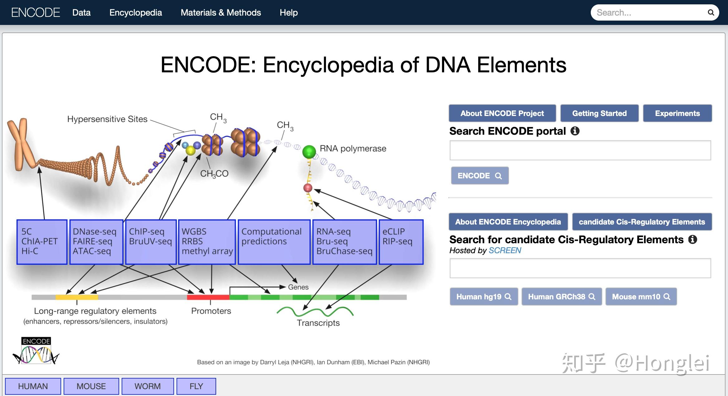 《肿瘤信息学》笔记—第2章 组学数据—信息之源和计算之需 - 知乎