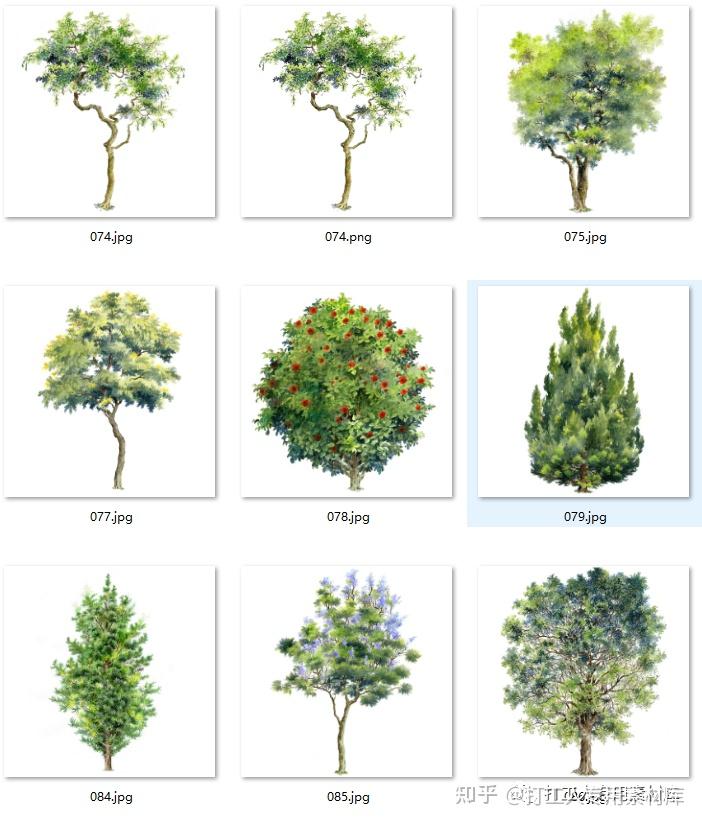 270款超棒的网红小清新手绘风and写实风立面树素材（1.2G） - 知乎