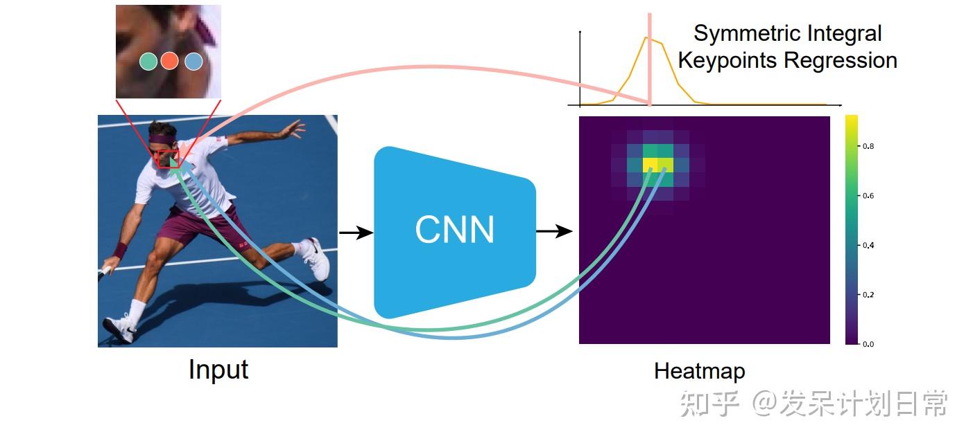 [AlphaPose] Whole-Body Regional Multi-Person Pose Estimation and Tracking in Real-Time (论文详读) - 知乎