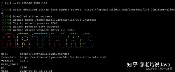 Java 诊断工具 Arthas 常见命令（超详细实战教程） - 知乎