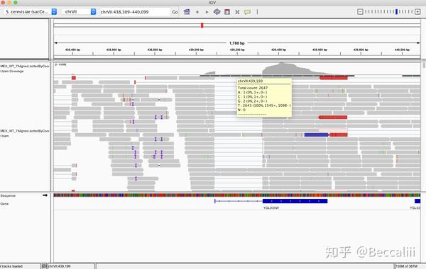 服务器安装IGV并在本地电脑使用 - 知乎