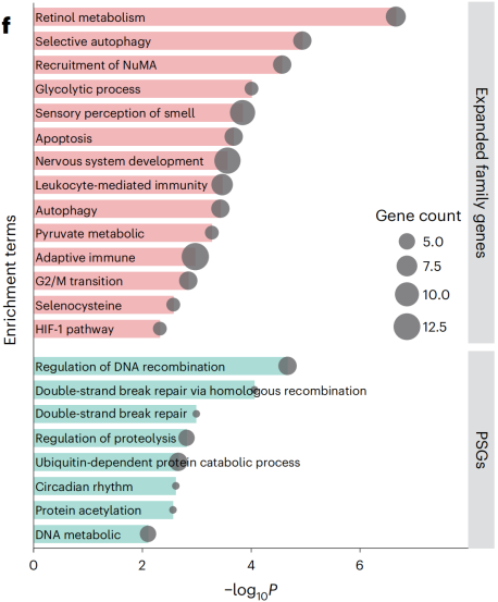 Nat Ecol Evol项目文章详解 | 兰州大学李克欣/刘建全合作揭示基因组结构变异和3D基因组进化在高原鼢鼠低氧适应中的作用 - 知乎