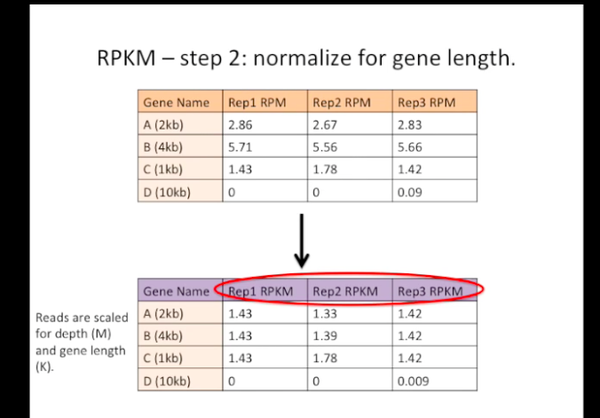 基因差异表达之一 - RPKM, FPKM, TPM, 傻傻分不清楚 - 知乎