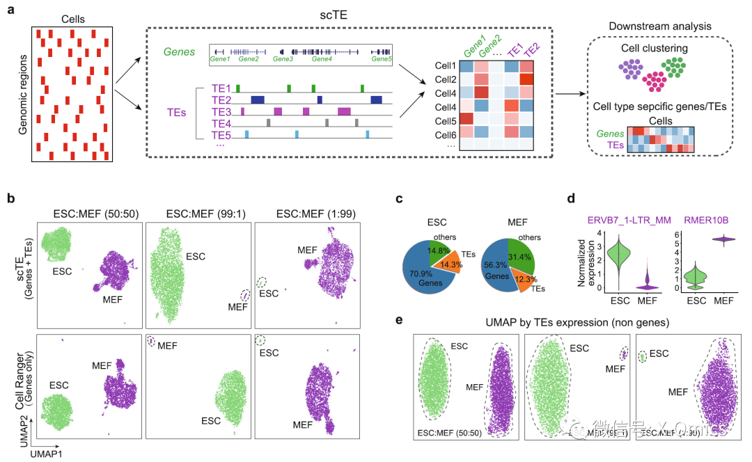 Nature Commun | 单细胞测序数据中的转座元件表达定量工具——scTE - 知乎