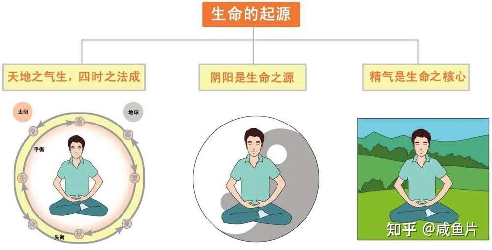 中医养生入门：气、血、津液的关系 - 知乎