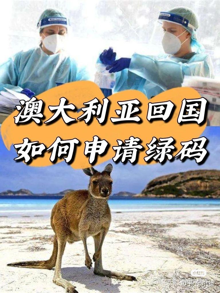 澳洲回国绿码如何申请 注意事项 - 知乎