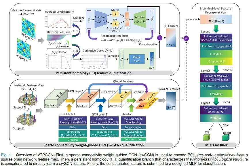 IEEE Transactions on Medical Imaging(TMI)论文推荐：2024年01月(2) - 知乎