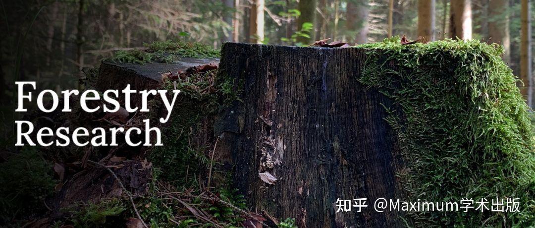 生态领域重要综述 林下植被研究的现状与未来趋势 知乎