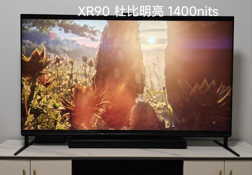 索尼电视9系(XR90)深度测评：22bit背光控制+广锐视角屏 - 知乎