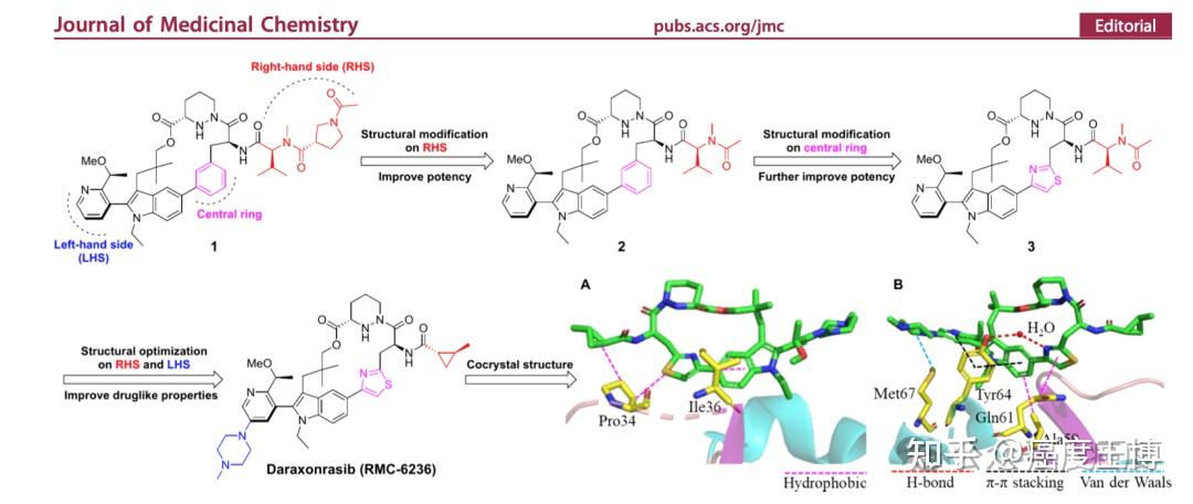 KRAS突变全覆盖？daraxonrasib（RMC-6236）让RAS药物不再挑三拣四！ - 知乎