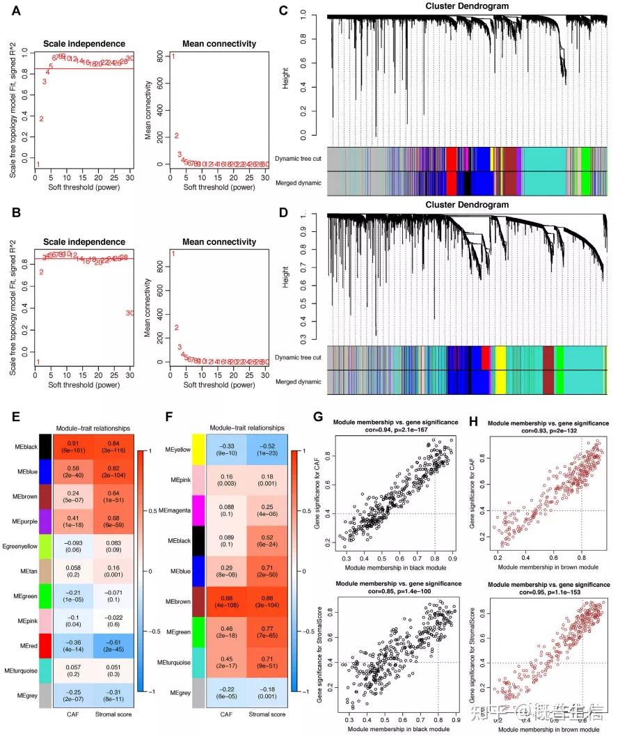 火爆全网的癌症相关成纤维细胞(CAF)最全面总结 - 知乎