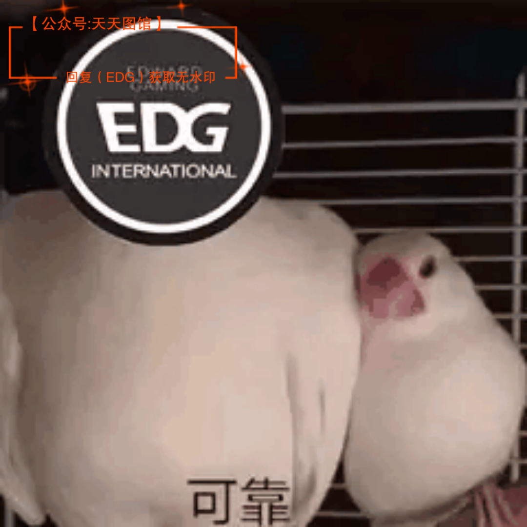 EDG今晚给我赢!edg表情包 ，不破不立，给老子赢!!s11edg表情包 - 知乎