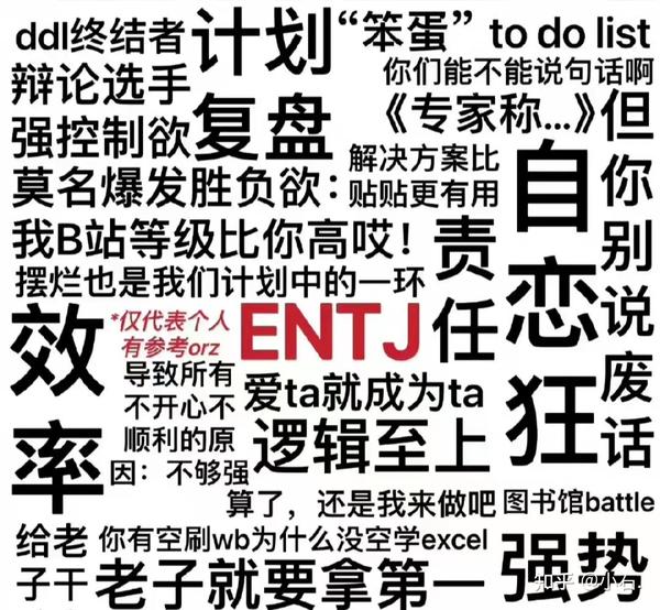 Entj型人格喜欢一个人是什么样子的 知乎