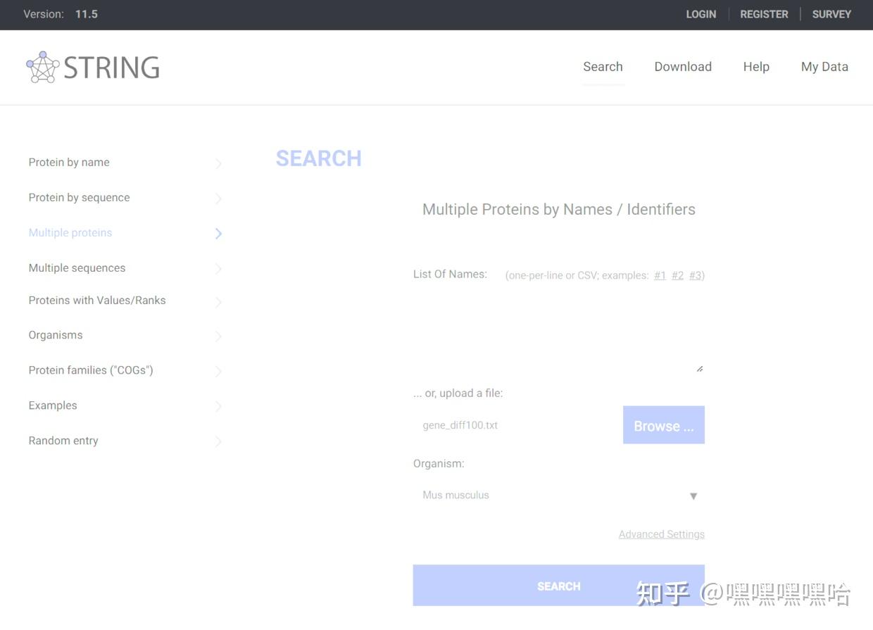 RNA-seq入门实战（九）：PPI蛋白互作网络构建（上）——STRING数据库的使用 - 知乎