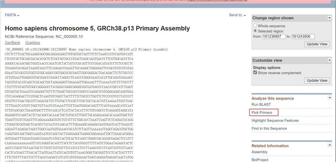 SnapGene Viewer软件序列可视化操作 - 知乎