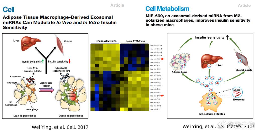 外泌体miRNA测序服务 - 知乎