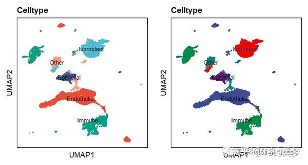 单细胞基因可视化之UMAP图修饰 - 知乎