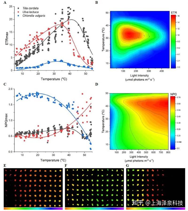 利用PhenoPlate研究光合作用与光强和温度之间的关系 - 知乎