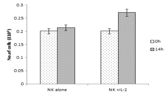 白介素对NK细胞功能的影响（IL-1β、IL-12、IL-15、IL-18、IL-21） - 知乎
