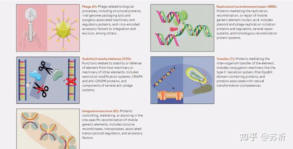 mobileOG-db：细菌移动遗传元件 (MGE) 数据库 - 知乎