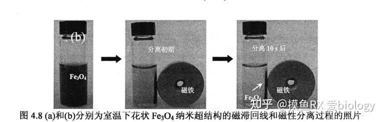 超顺磁DBCO-PEG包裹四氧化三铁120nm，DBCO-PEG coating Fe3O4 nanoparticles（120nm） - 知乎